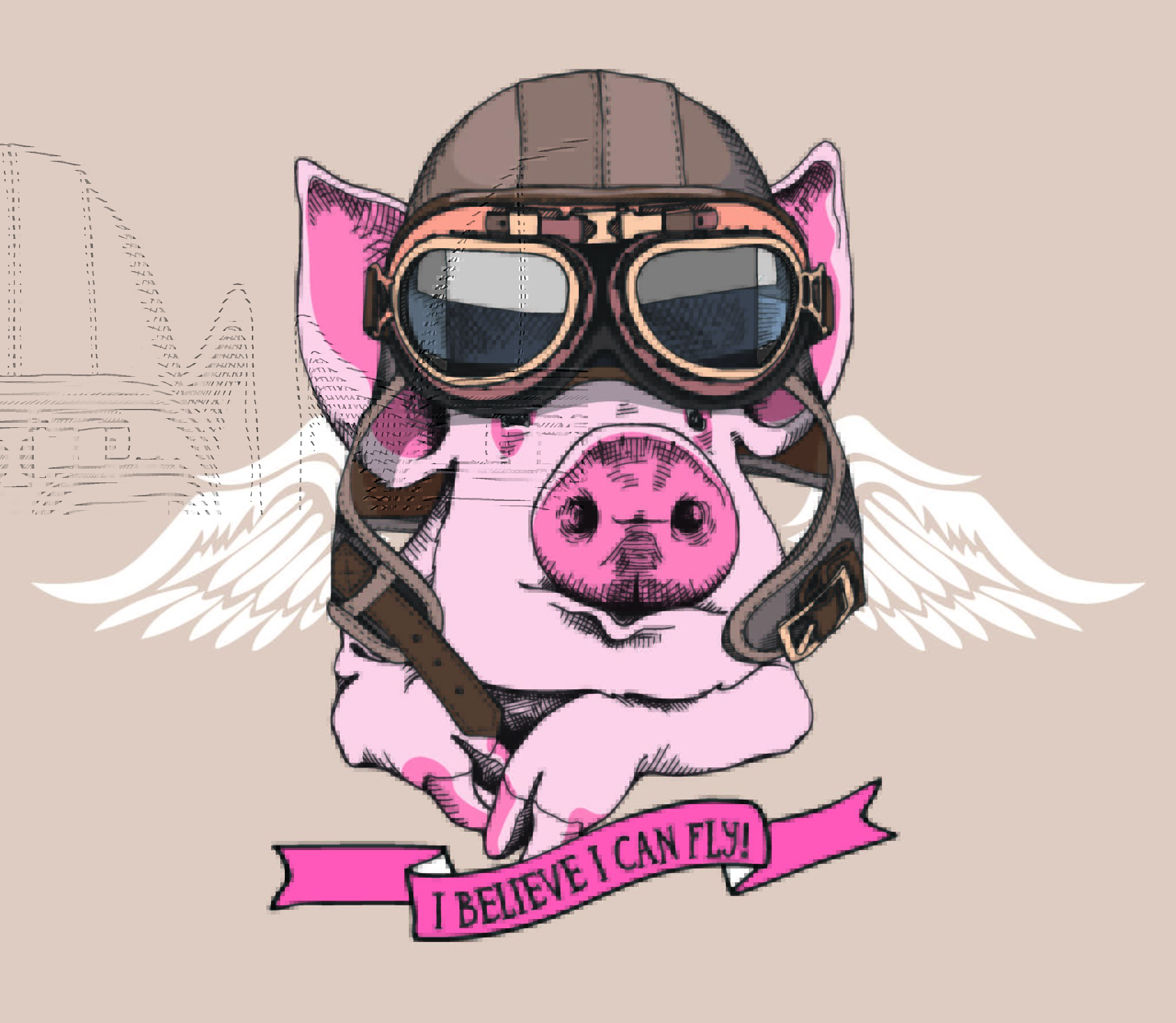 When Pigs Might Fly Rainbow Formation when-pigs-might-fly-rainbow-formation